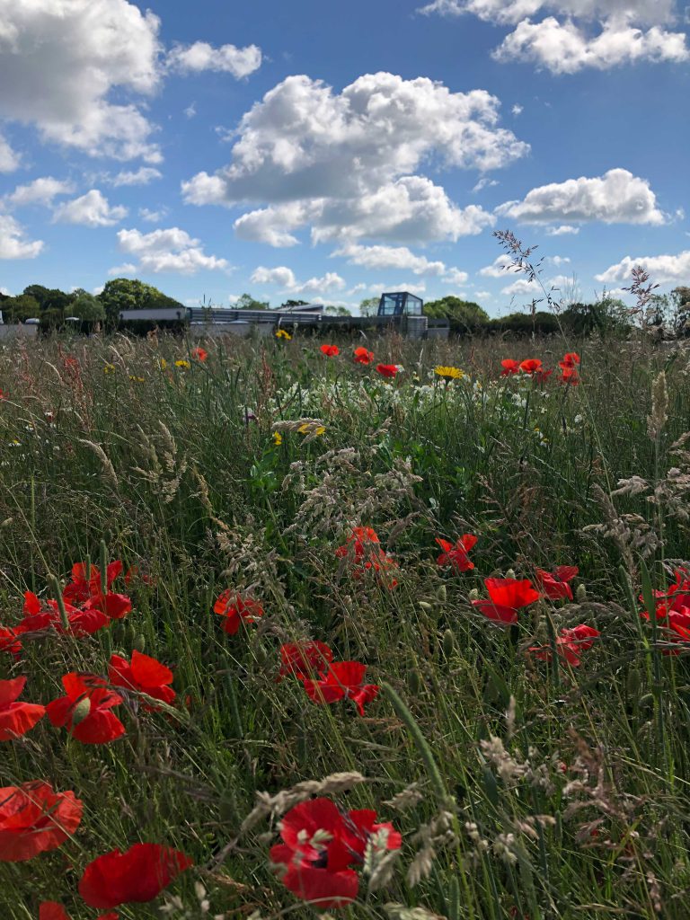 The beautiful photos at Wealden Crematorium's Gallery - Photos